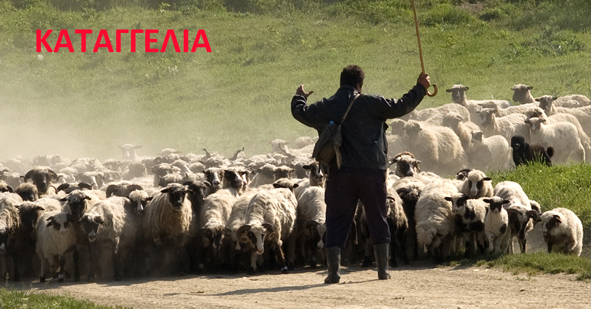Χρυσαφένιοι βοσκότοποι Αγόριανης – Εκκάρα (Αγόριανη) & Άνω Αγόριανη ...